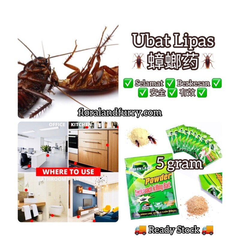 5g Racun Lipas Paling Berkesan Serbuk Fipronil Ubat Lipas Rumah Dalam ...