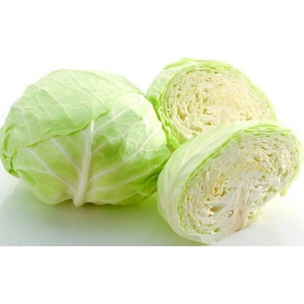 Cabbage / Kobis Bulat (+/-1.5kg) | Lazada