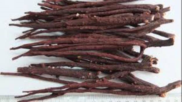 紫草根/紫草红条 Redroot Gromwell Root 100g+- | Lazada