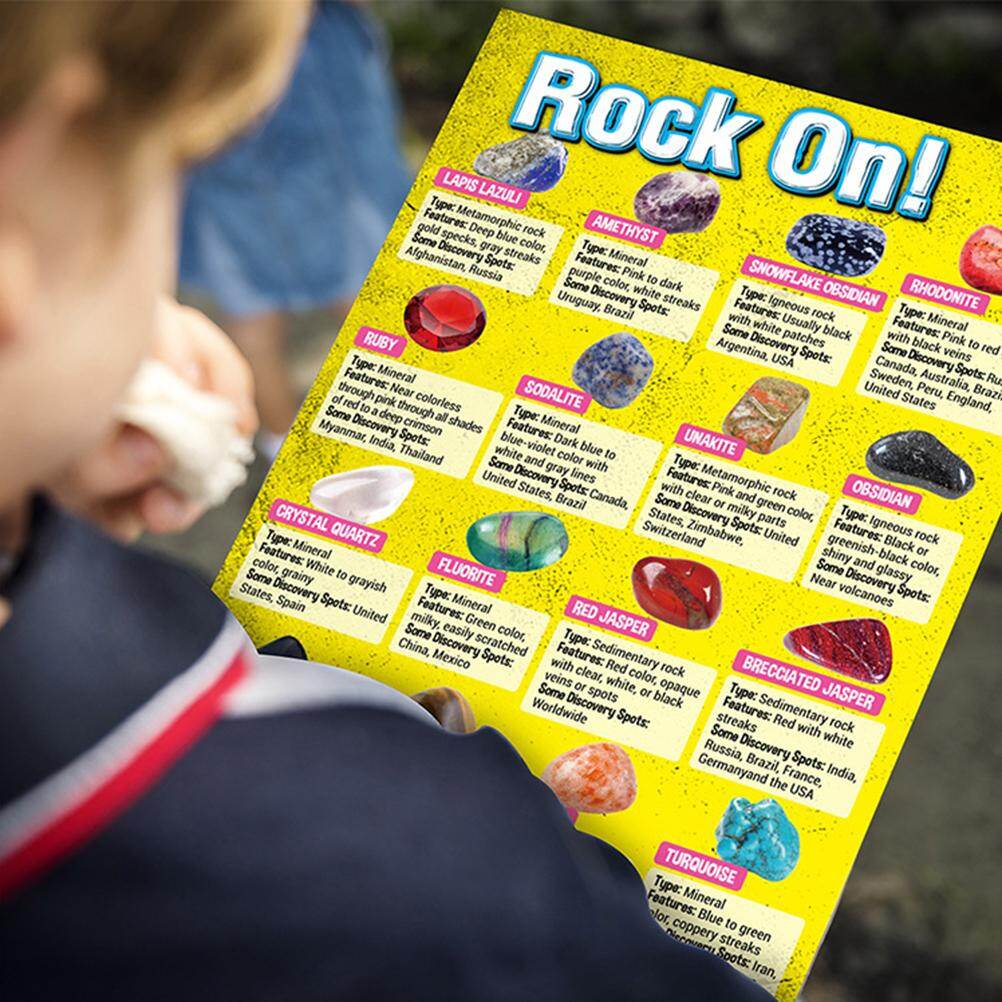 Rocks Collection Rock and Mineral Education Set for Kids Geology Gem ...