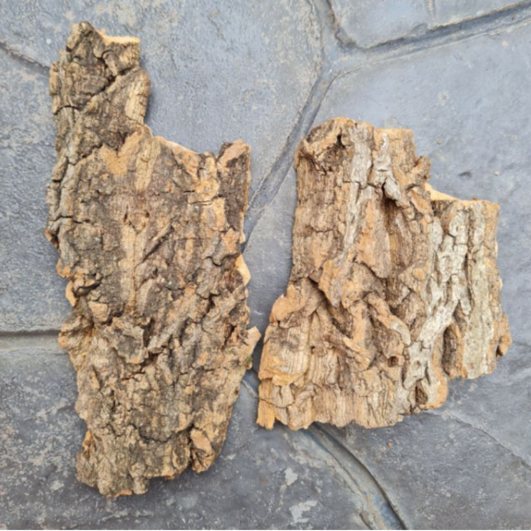 Natural Cork Bark Reptile Terrarium Cork Bark Hiding Cave Tarantula ...