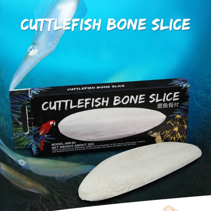 Reptile Turtle Health Slow Release Calcium Mineral Cuttlefish Bone for ...