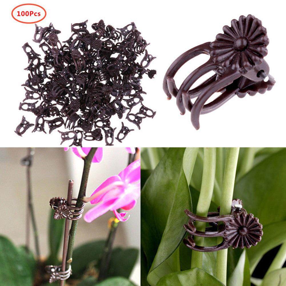 100pcs Orchid Clips Plant Orchid Support Clips Garden Flower Vine Clips ...