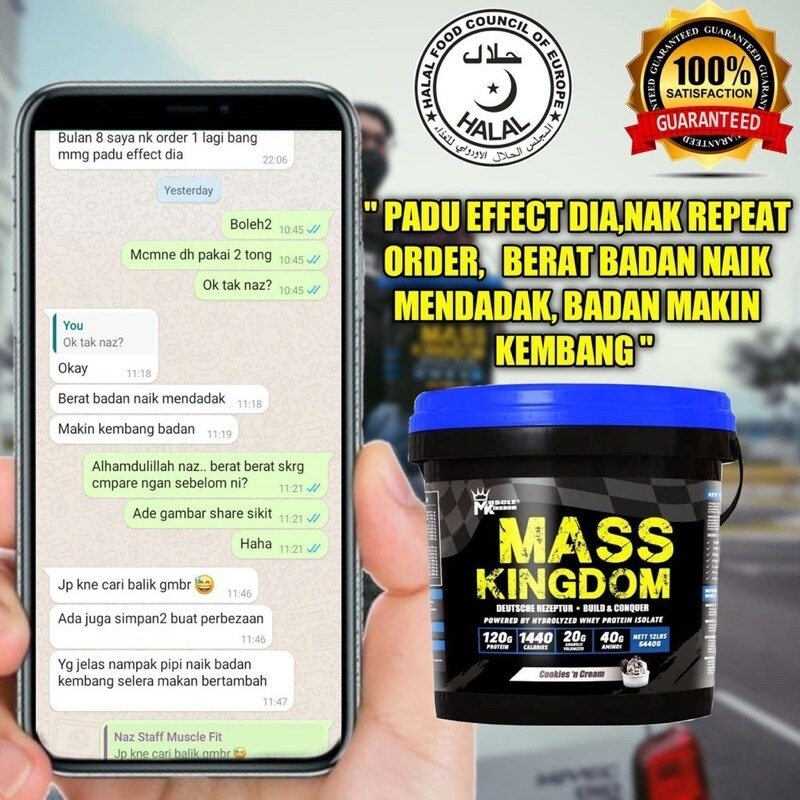 New Promo Muscle Kingdom Mass Protein Mass Gainer Mass Supplement Susu ...