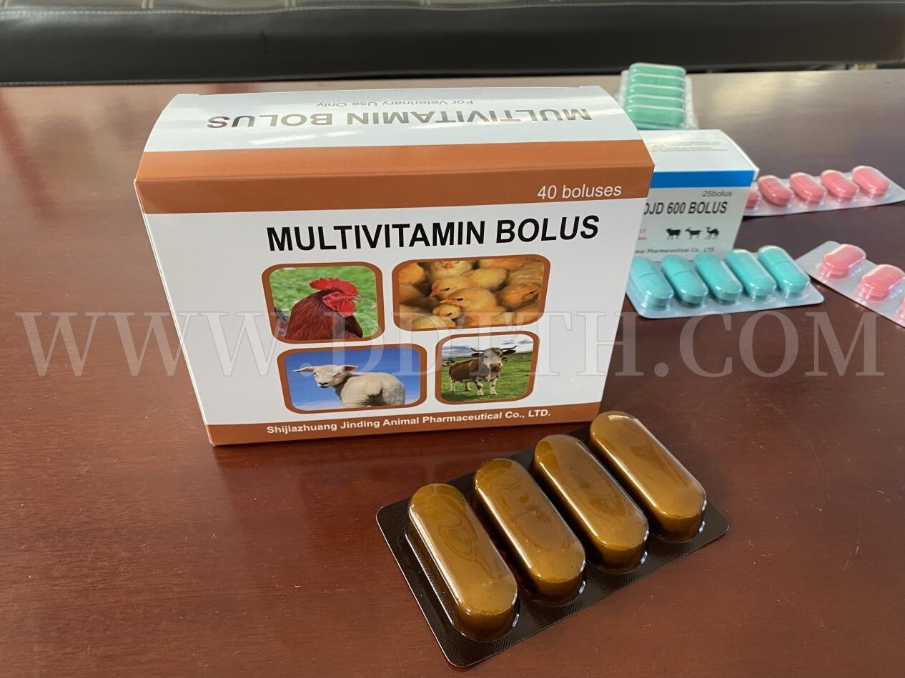 Multivitamin Bolus for animals | Lazada PH