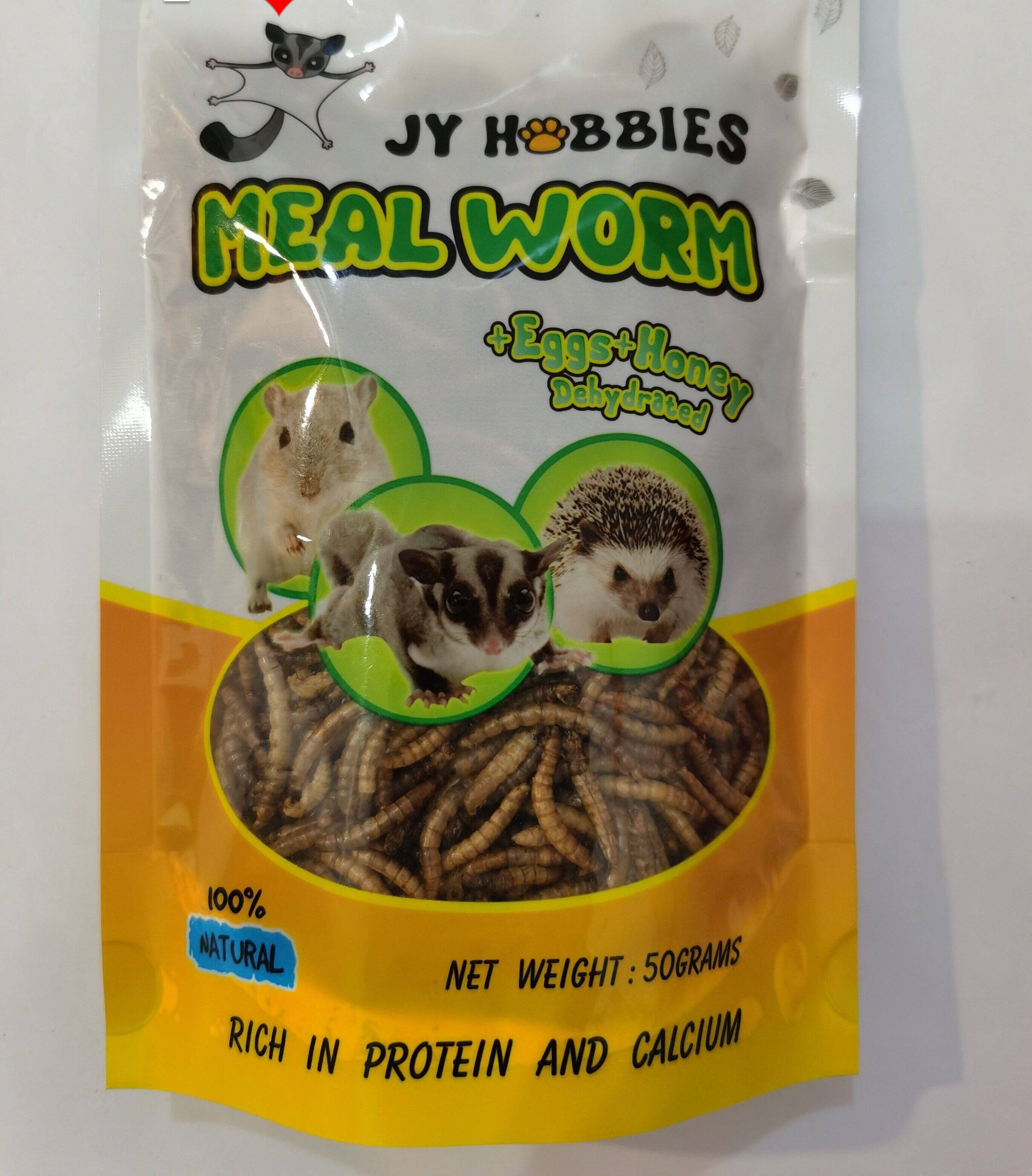 Dried Meal Worm for Sugar Glider/Small Animal/ Reptiles | Cacing ...