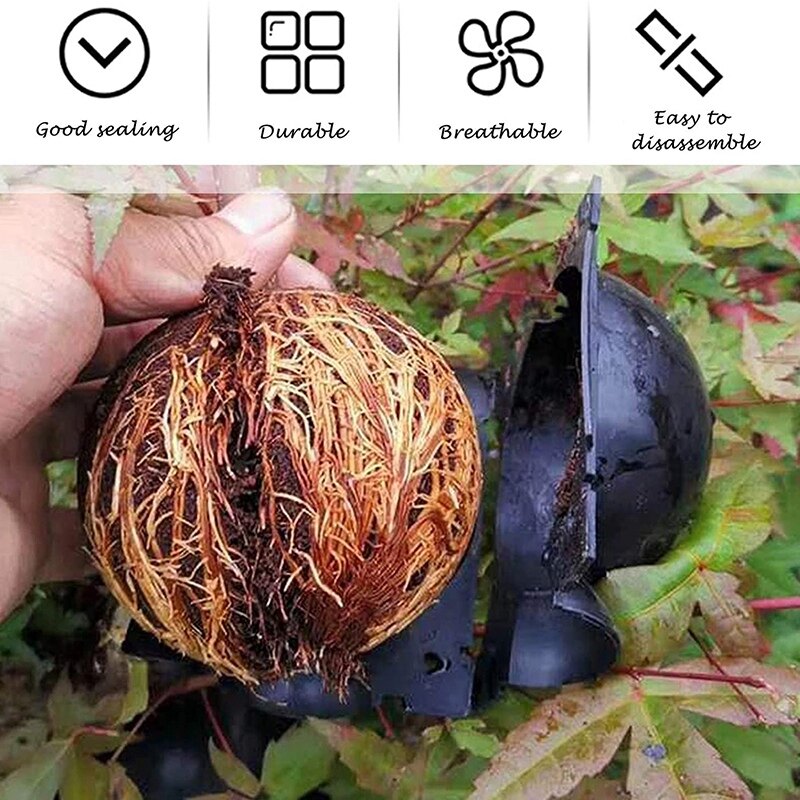 5Pcs 12cm Plant Root Growing Box High Pressure Gardening Plant Root ...