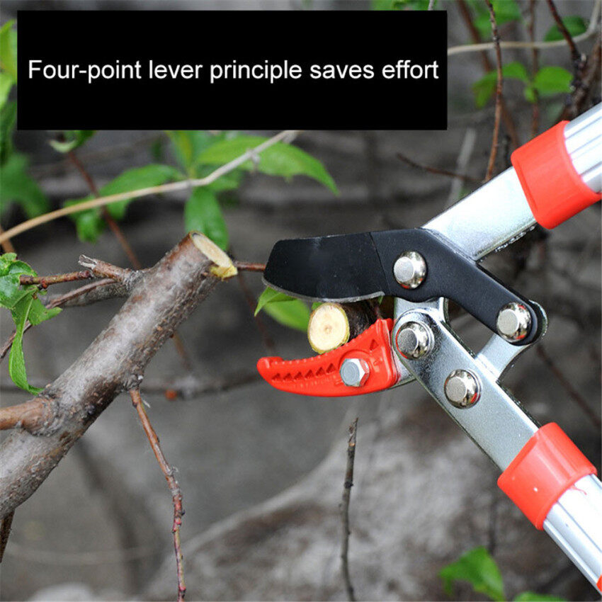 Pruning Tools Telescopic Tree Ratchet Lopper Pruner Extending Garden ...