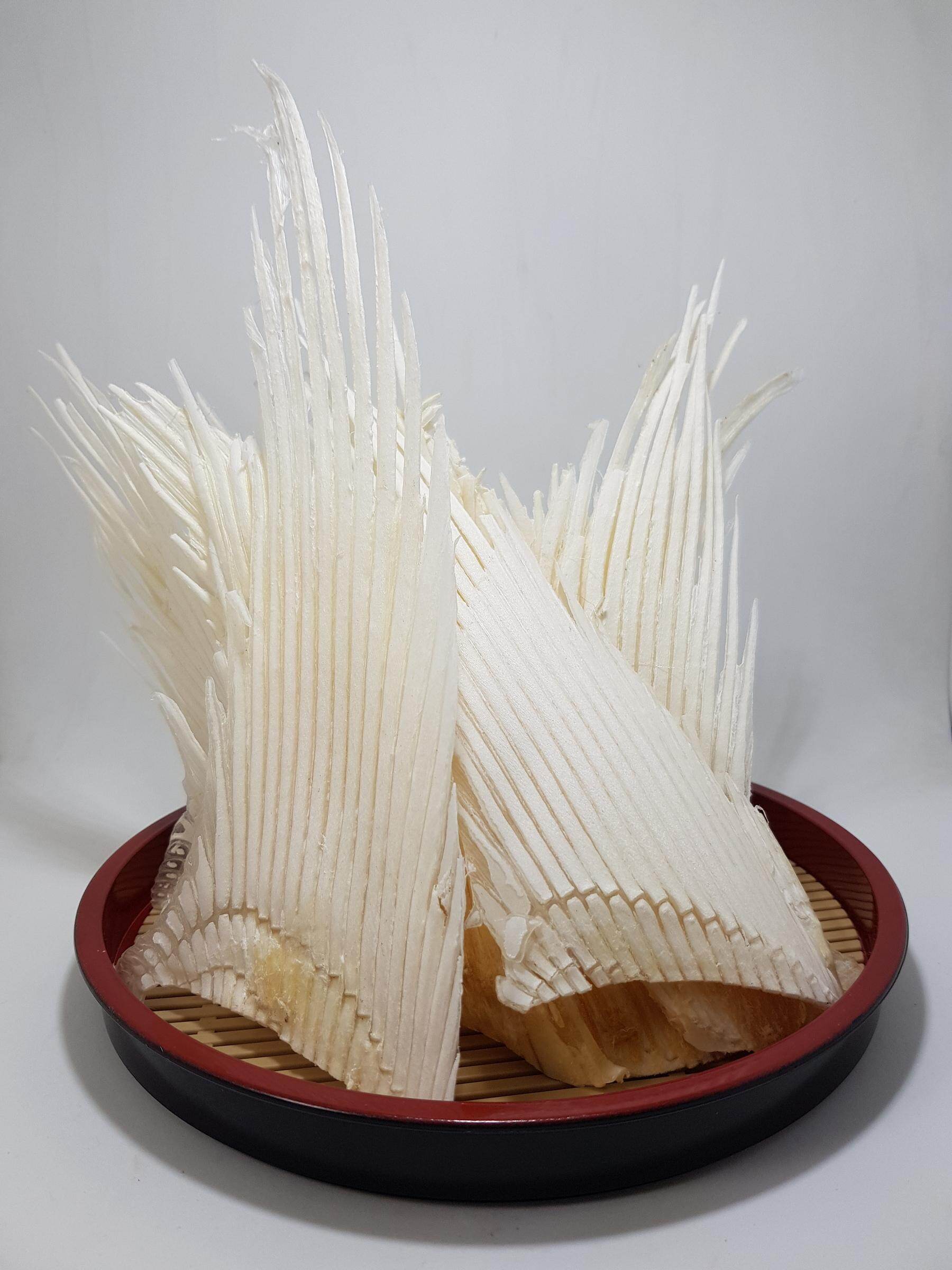 Shark Fin Bone 鲨鱼翅骨干 100g | Lazada