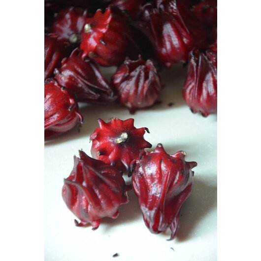 Biji benih roselle seeds ribena bancuh air roselle morocco rozel seed ...