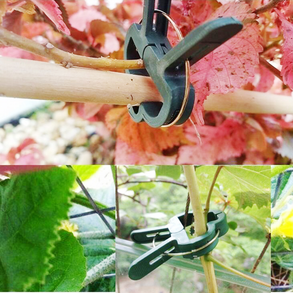20Pcs Reusable Tree Plants Flower Seedling Stem Support Adjustable ...