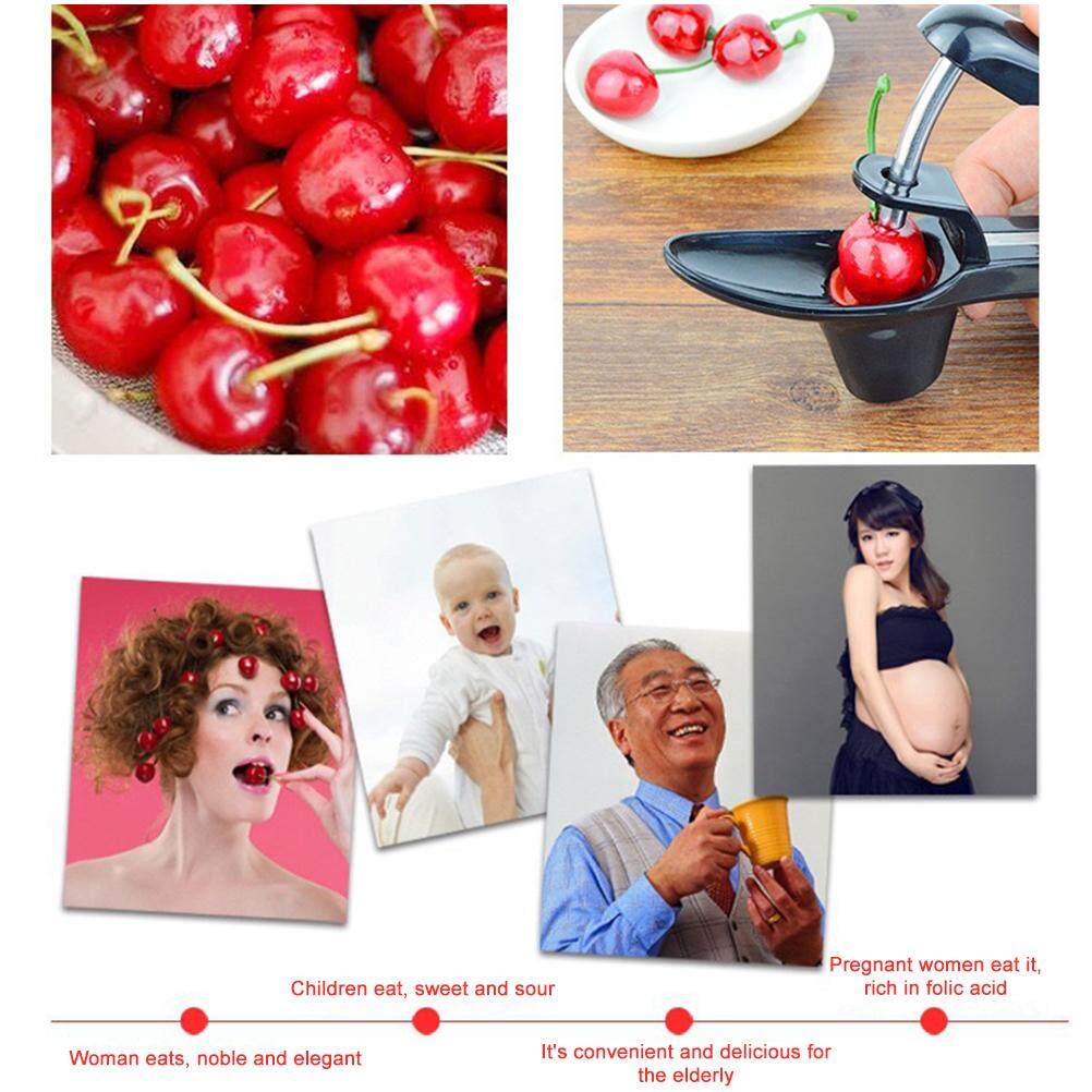 Cherry Pitter Tool Cherry Core Remover Olive Pitter Tool for Kitchen ...