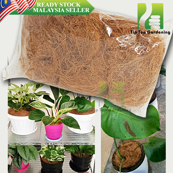 Coconut Husk Fiber Pure Organic Coco Coir Husk Fiber Sabut Kelapa Kasar ...