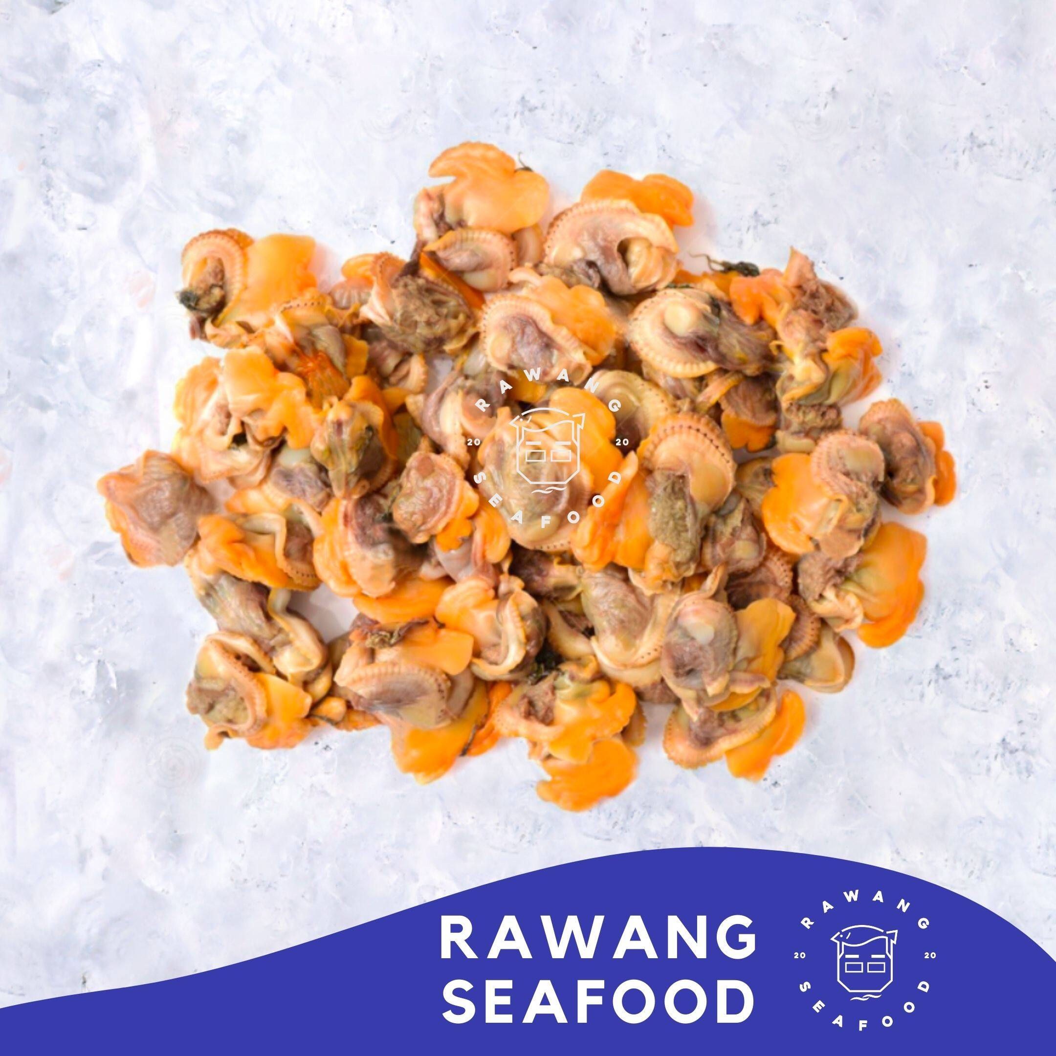 🔥READY STOCK🔥 Cockle Meat / Isi Kerang / 血蛤肉 (1kg ) / Cockles Frozen ...