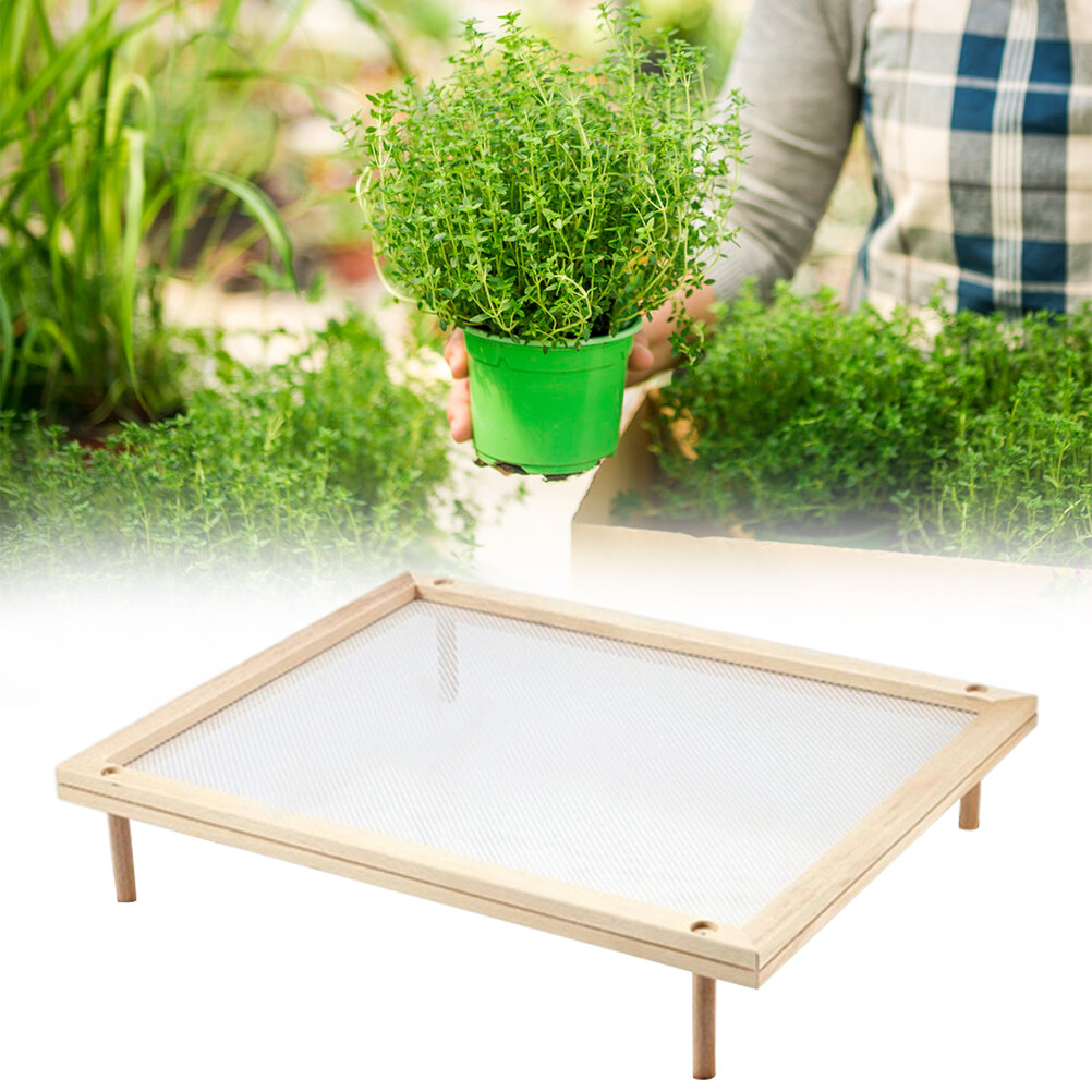 Pasta Drying Rack Herb Drying Rack Stackable Food Dryer for Household ...