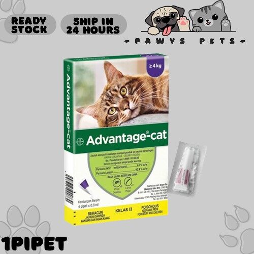 Bayer Advantage Cat Spot On - (S [0.4ml x 1 Pipet & 4 Pipet] / M [0.8ml x 1 Pipet & 4 Pipet ...