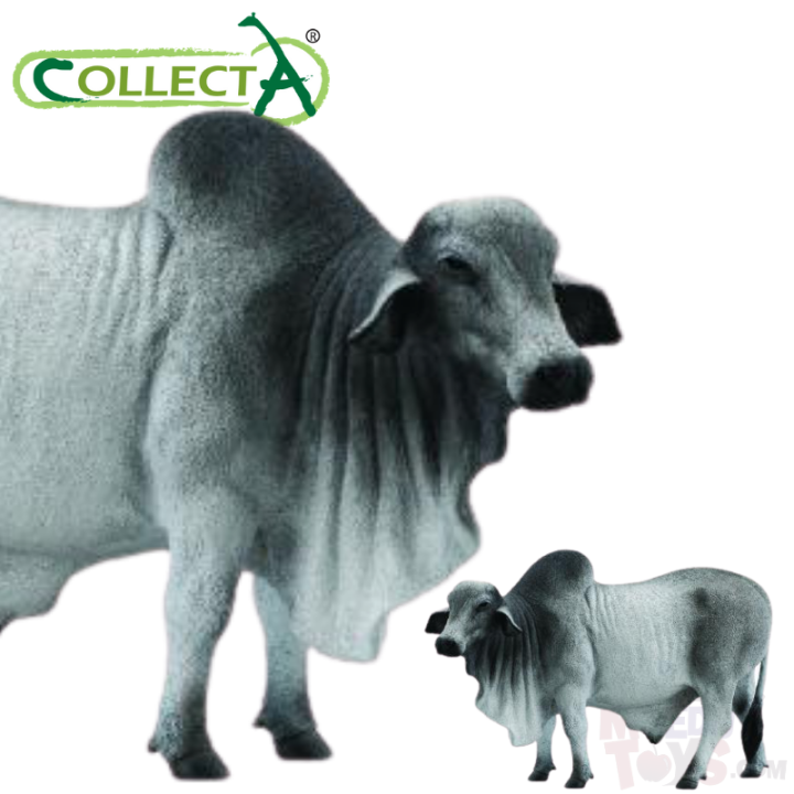 CollectA 88579 Brahman Bull 13.5cm x 8.5 cm animal figurine toy cow ...