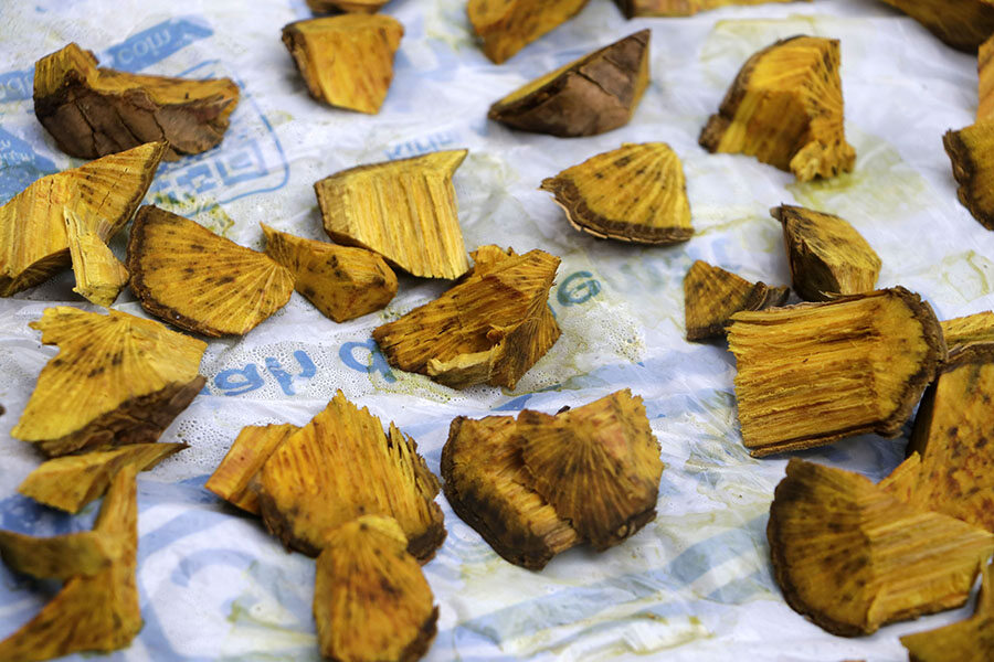 Kayu akar Kuning Yellow-truited moonseed root wood albotra sariawan ...