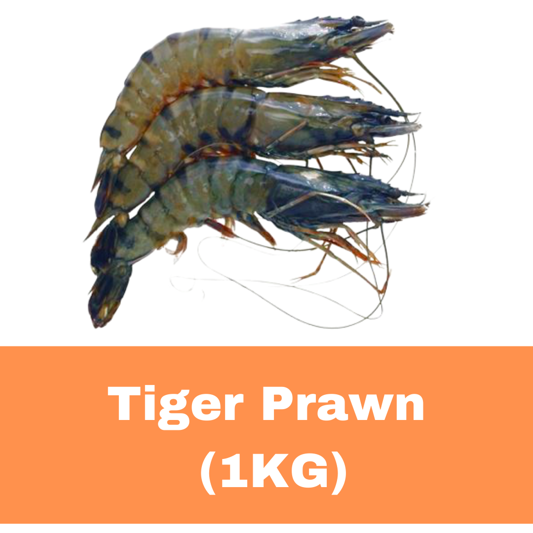 Tiger Prawn 8/12pcs (1kg) 老虎虾 Sung Tao Frozen Seafood Udang Harimau ...
