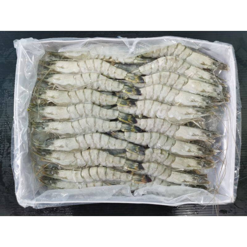 Black Tiger Prawn 老虎虾 (S Size 36/40) - Head On Shell On | Lazada
