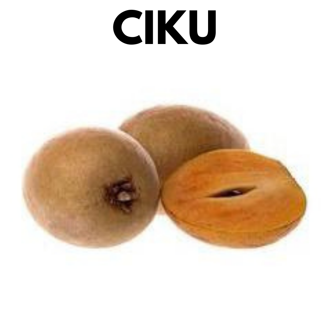Ciku Regular or Ciku Mega | King Sapodilla 1kg Seasonal Fresh Fruits ...