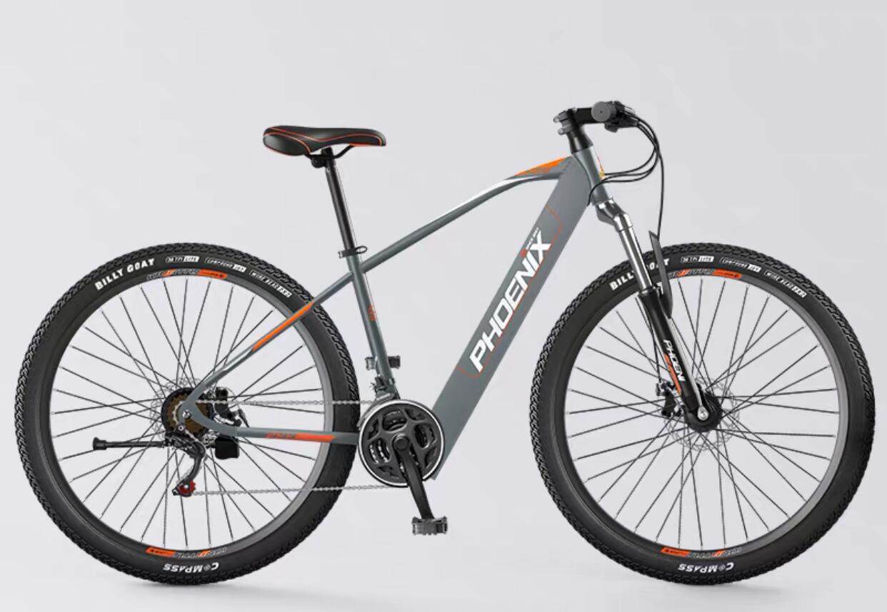 [PRE-ORDER] PHOENIX 599 Ultimate Long Range Urban Electric Mountain ...