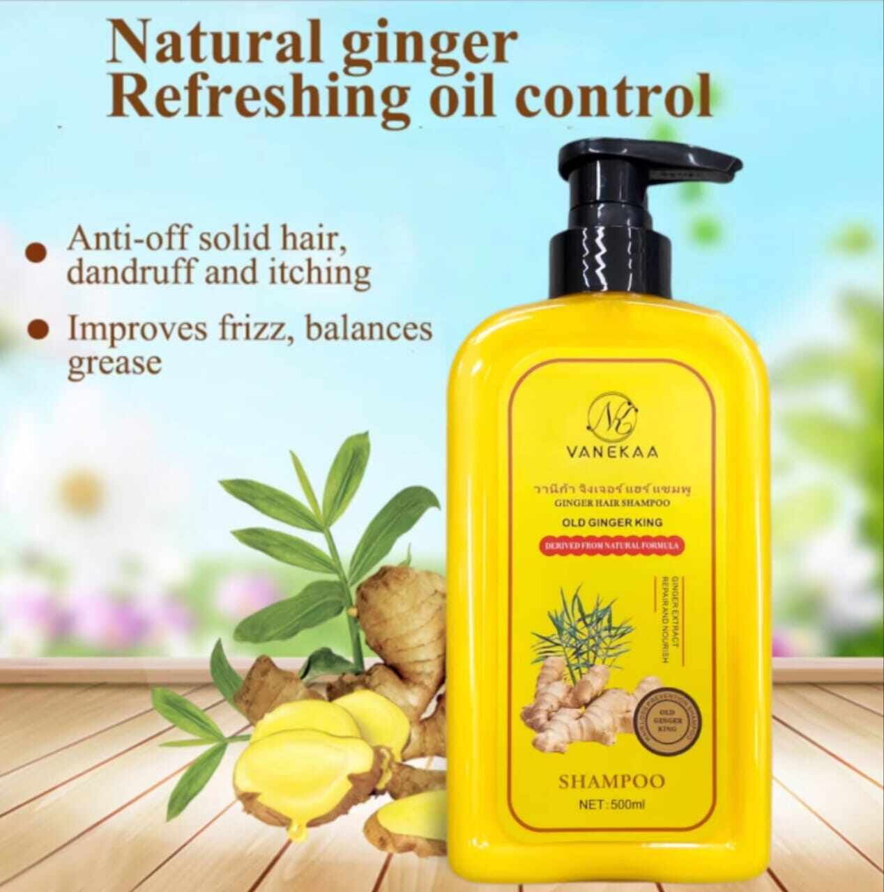 Vanekaa Ginger Hair Shampoo Anti Hair Lost Oil Control Enhance Hair ...