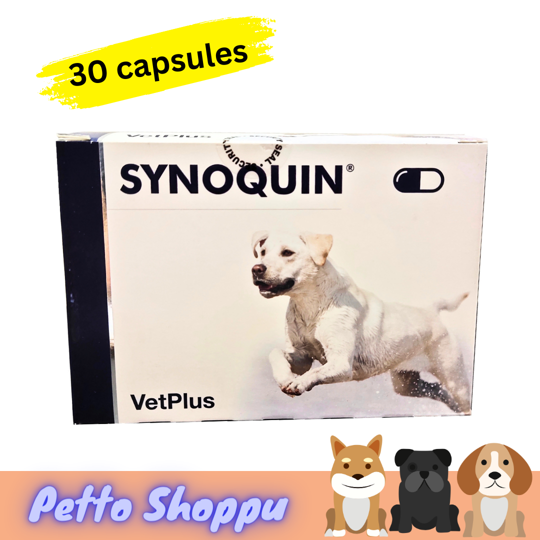 Synoquin Large Breed Dog (30 CAPSULES) | Lazada