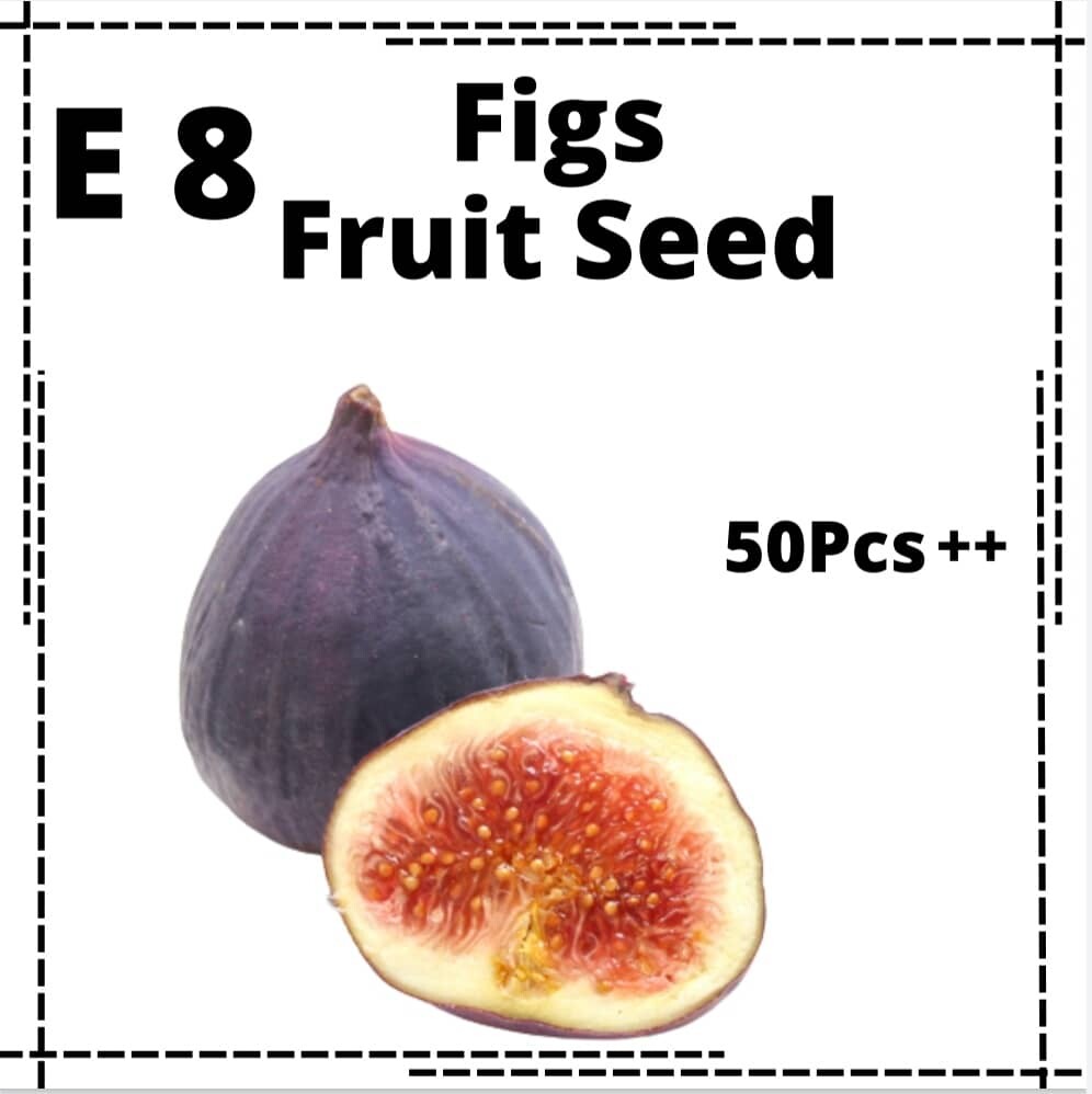 Figs 无花果种子 Biji Benih Buah Ara Fruit Buah Buahan Fruits Seed 50Pcs | Lazada