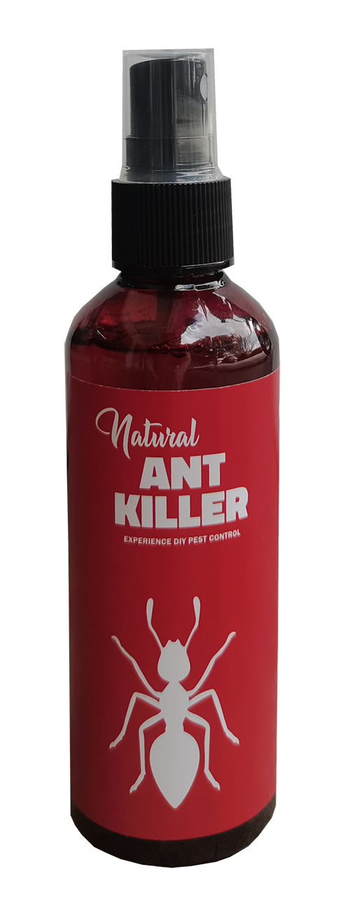 Ant Killing Spray Natural 500ml / Penyembur Semut Natural / 天然蚂蚁喷雾 | Lazada