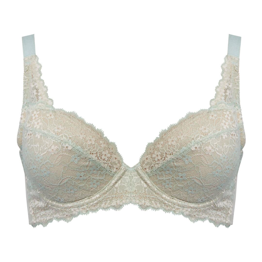 XIXILI DAMINI PETIT FLORA EMBROIDERED DEMI BRA | Lazada