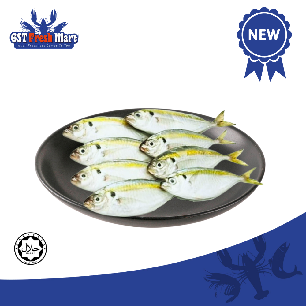 FROZEN IKAN SELAR (8-10 NOS) UNCLEANED 1KG/PKT 冷冻色拉鱼 - GST FRESH MART ...
