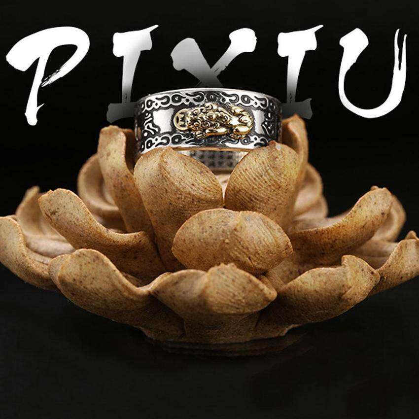 Men Pixiu Charms Ring Feng Shui Amulet Wealth Lucky Open Adjustable ...