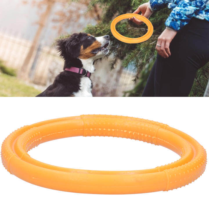 Tension Ring for Dogs Teeth Grinding Biting Chewing Interactive ...