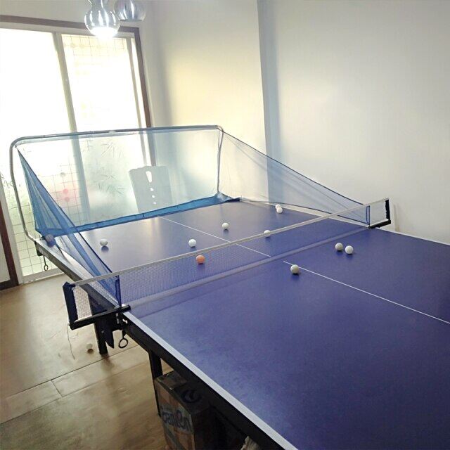 Professional Table Tennis Ball Catcher Portable Ping Pong Balls ...