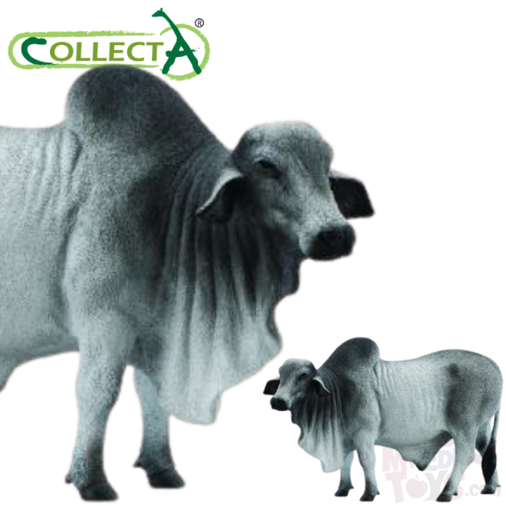 CollectA 88579 Brahman Bull 13.5cm x 8.5 cm animal figurine toy cow ...