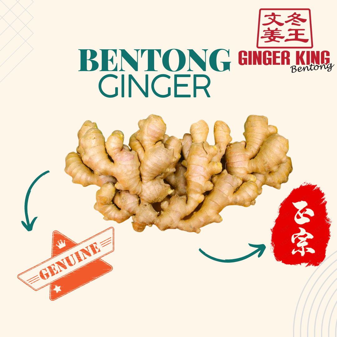 1kG Original Bentong Old Ginger 正宗文冬老姜 坐月子 姜酒鸡 Confinement Cooking | Lazada