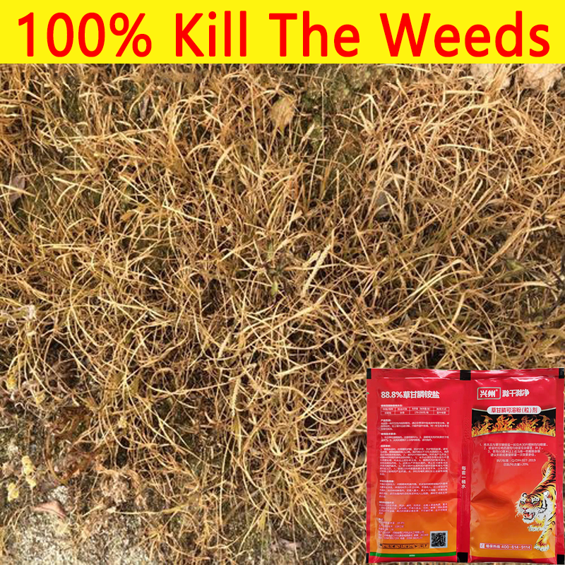 【2bags】10 times more effective at killing weeds racun rumput mati akar ...