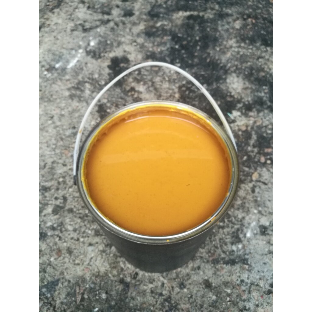 5L/ 5Liter Camlux Metal Paint/Wood Paint/Anti-rust Paint for Metal ...