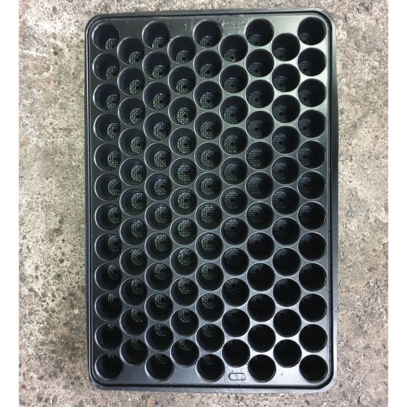 Seedling Tray Semaian 3pcs = 312 lubang holes 4cm 104 holes/tray | Lazada