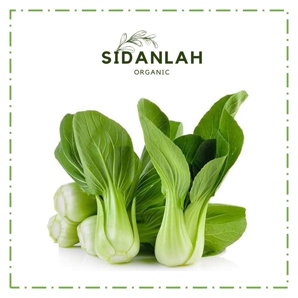 Organic Sawi Jepun 日本菜心 (±300g) - Fresh Organic Vegetables Direct from ...