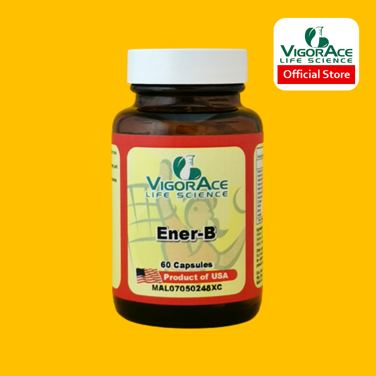Ener-B - High potency Vitamin B family, Folic Acid, Choline, PABA ...