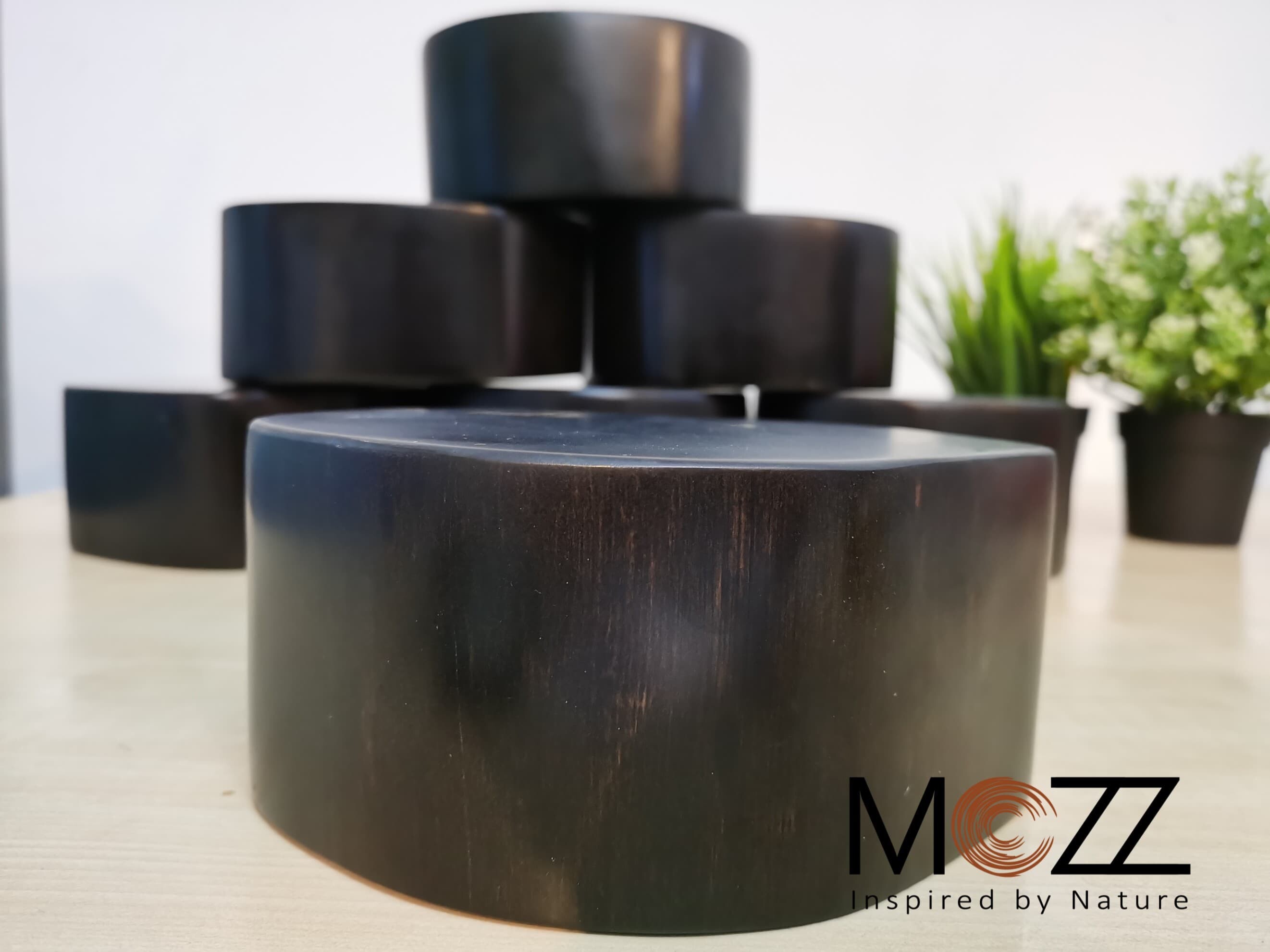 Kayu Penawar Hitam 黑金刚 | Lazada