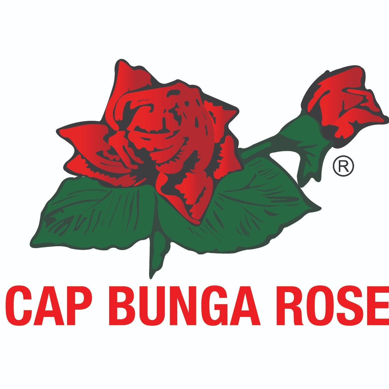 Rempah Cap Bunga Rose Official Store in Malaysia, Online Shop 01 2025