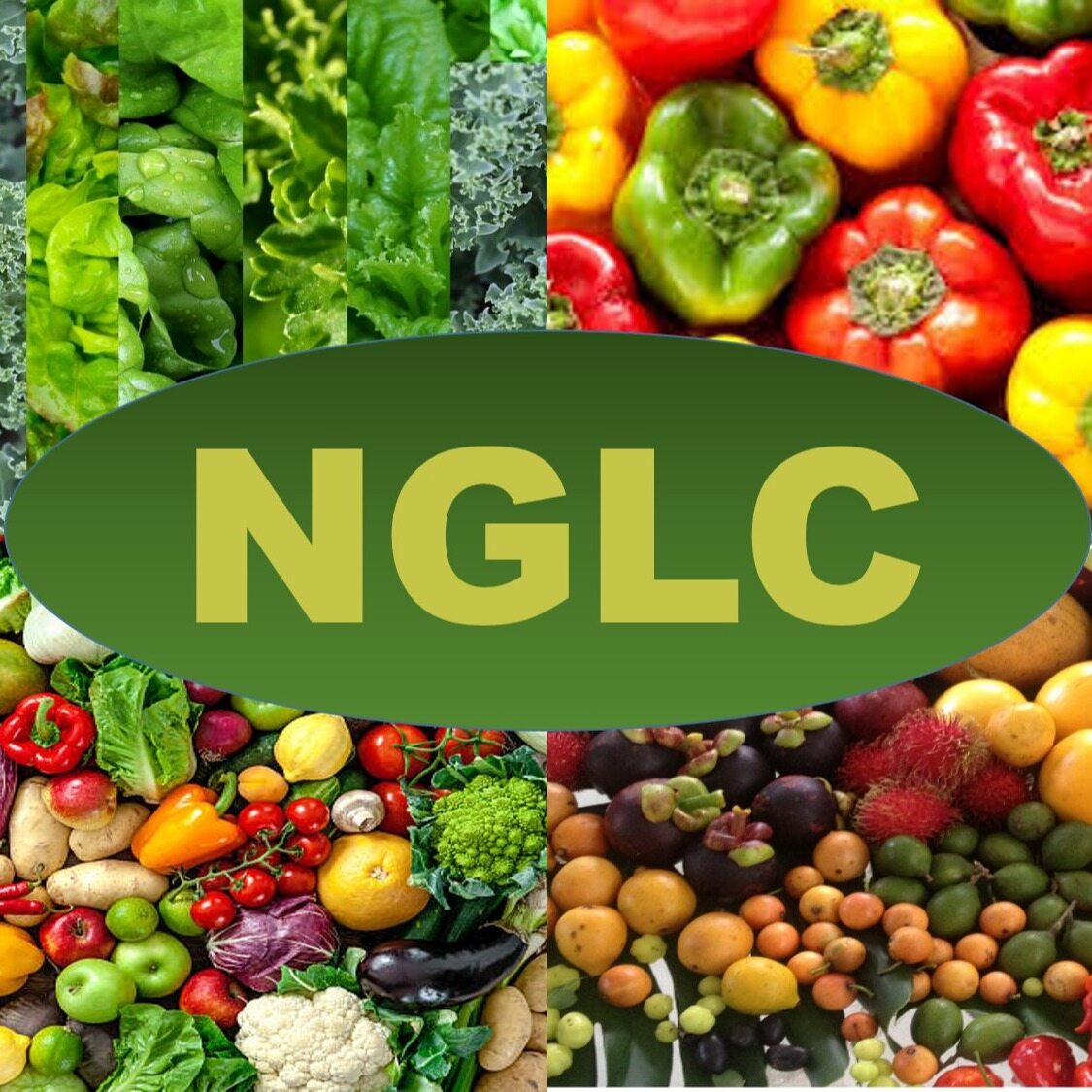 Nutri Grow LC | Lazada Malaysia