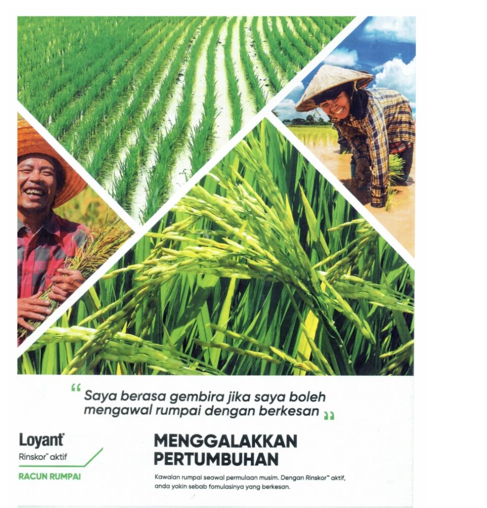 Kawalan Rumpai In English | blogkawalan