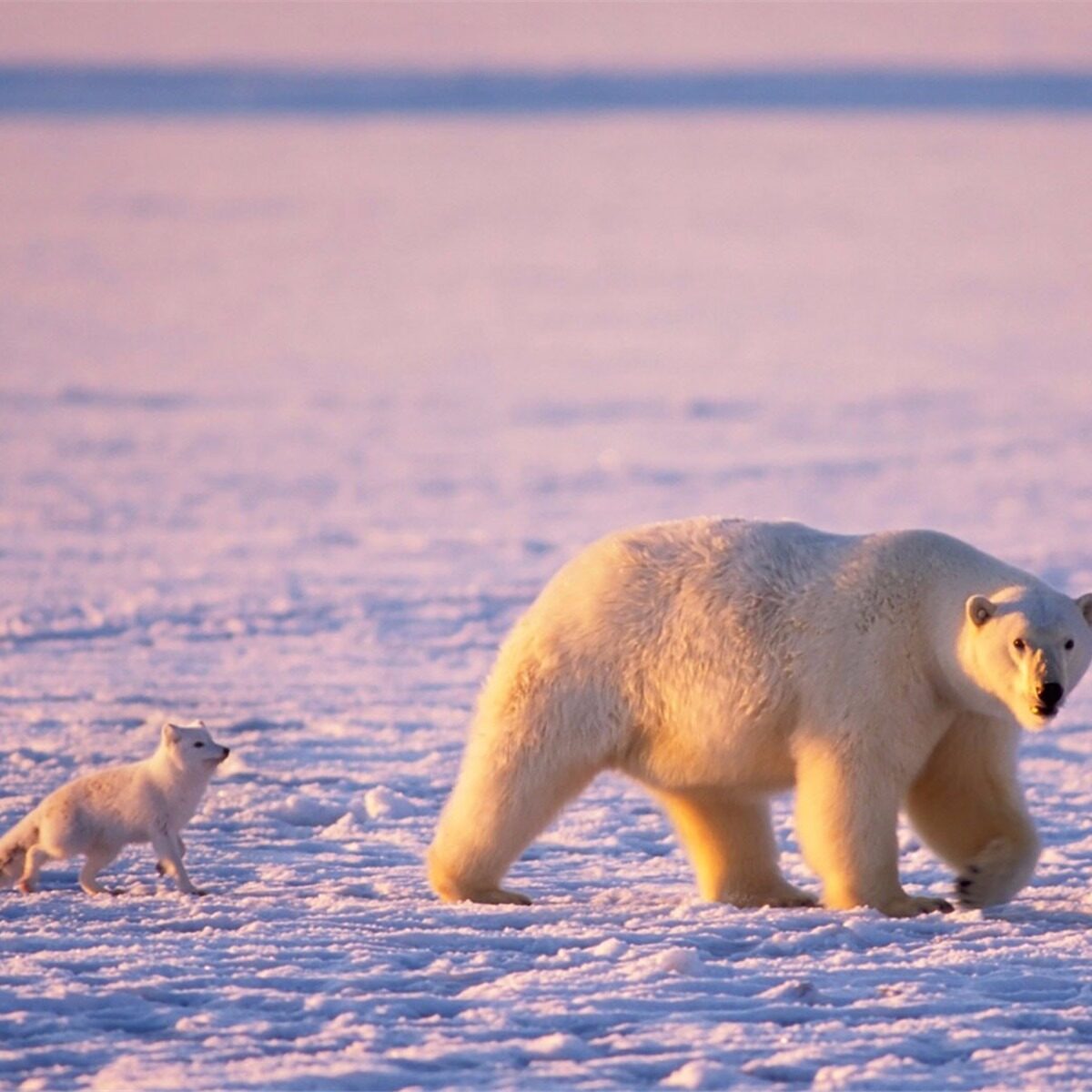 mooper Malaysia Official Online Store | Shop Now on Lazada