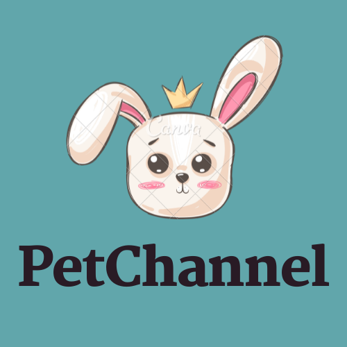 Pet Channel Official Store in Malaysia, Online Shop 03 2025