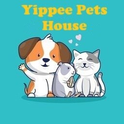 Yippee Pets House Official Store in Malaysia, Online Shop 02 2025