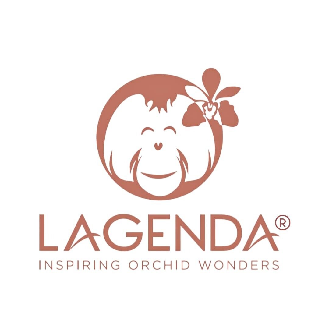 Lagenda Malaysia Malaysia Official Online Store | Shop Now on Lazada